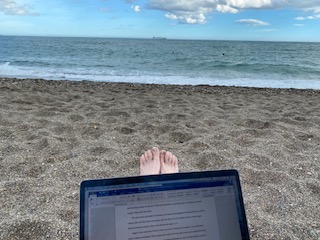 Ten Things Published Authors Won't Tell You - Janette Rallison & CJ ...